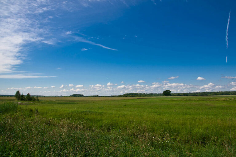 Lietuvos reljefas – ledyno palikimas – SMP