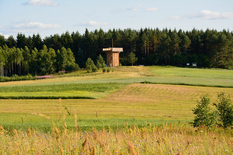 Lietuvos reljefas – ledyno palikimas – SMP