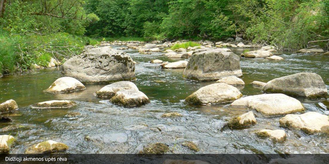 Akmenos rėva – SMP